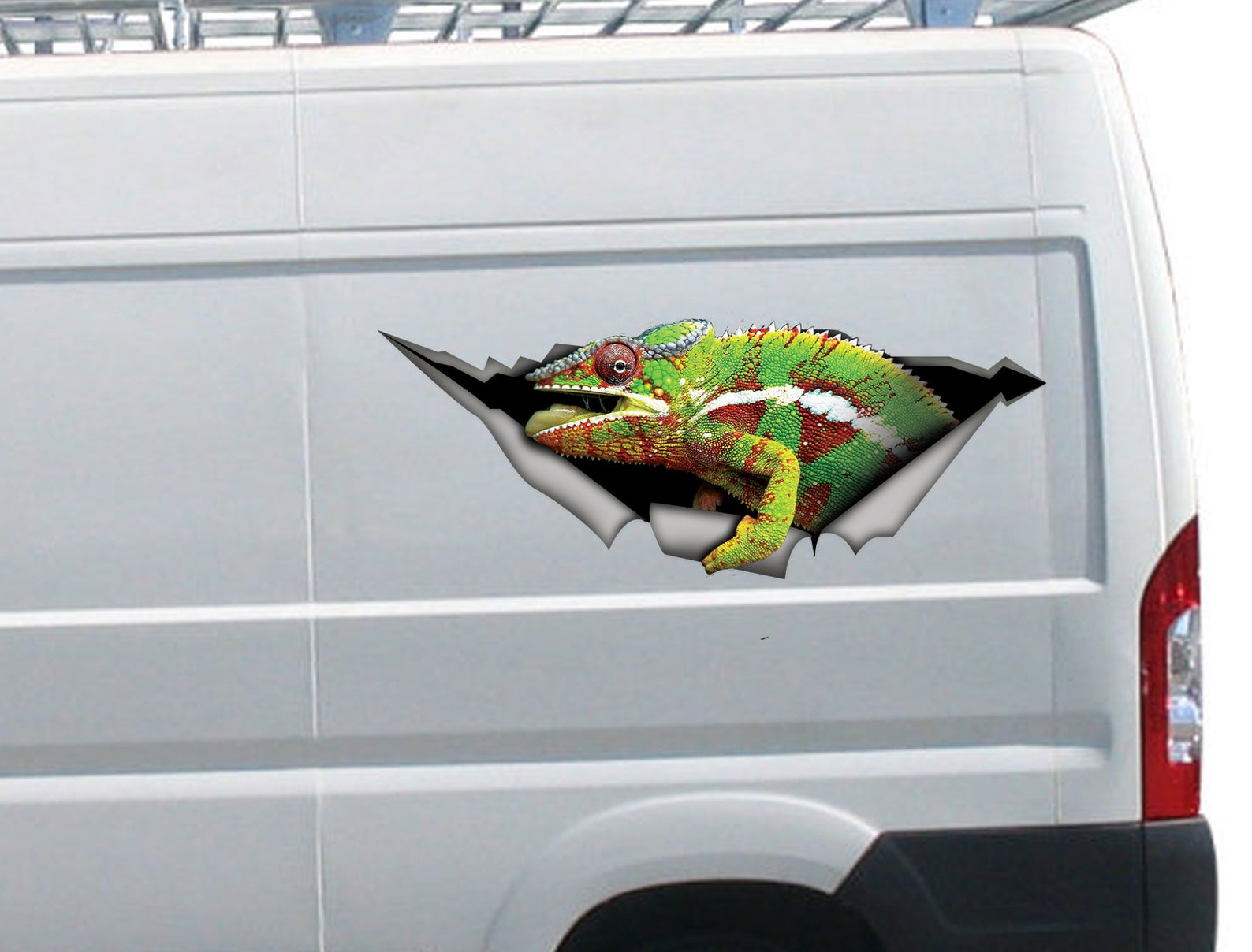 DECAL / Funny Chameleon Car Decal, Reptile Decal, Chameleon Sticker - Etsy