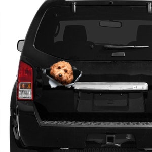 Cavapoo Decal , Cavoodle Sticker, Cavapoo Magnet, Cavadoodle Car Decal ...