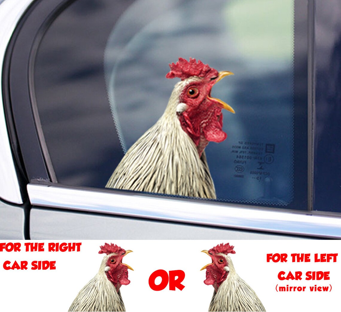 STICKER, Chicken Window Sticker, Car Sticker, Chicken Car Decal, Funny ...
