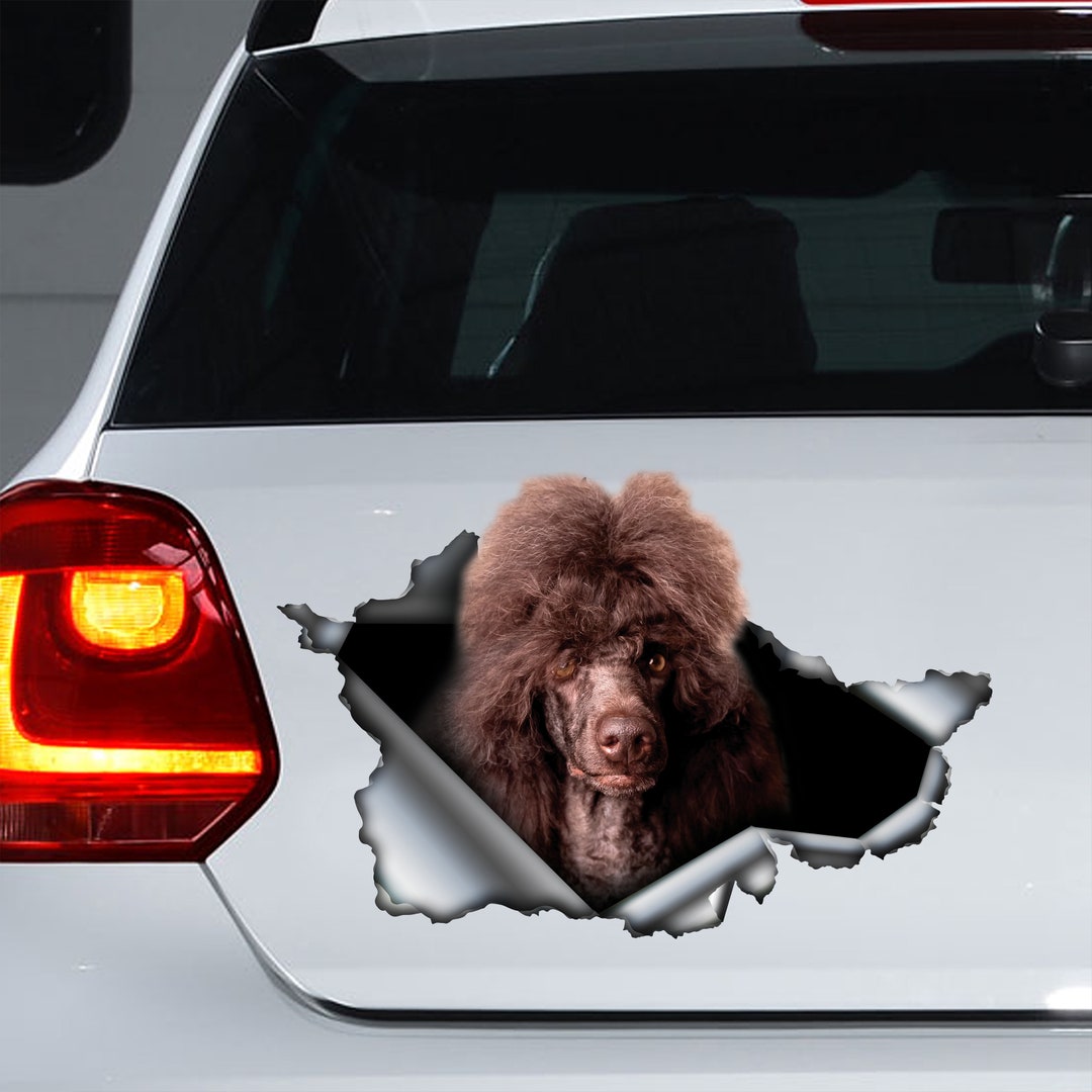 Dark Brown Poodle Decal , Dark Brown Poodle Magnet, Brown Sticker ...