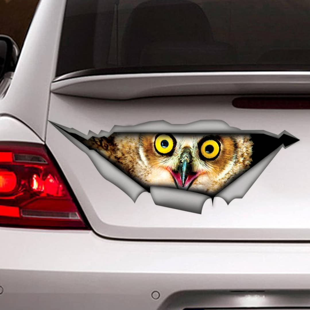 Owl Sticker, Car Decal, Vinyl Decal, Car Decoration, Owl Decal, Bird ...