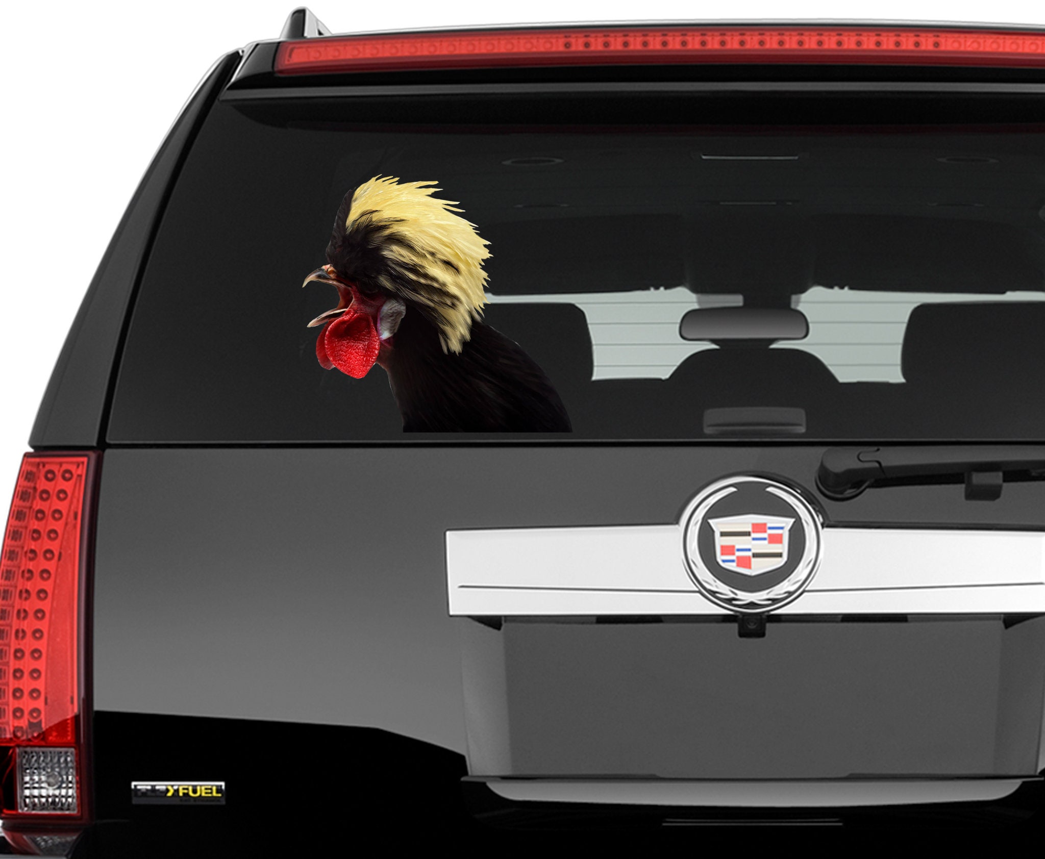 STICKER Polish Rooster Window Sticker Car Sticker Polish - Etsy