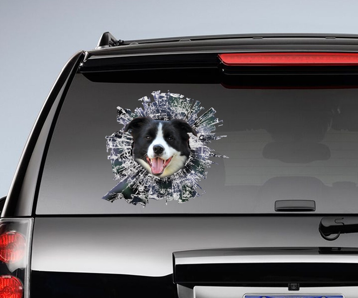 STICKER, Black and White Border Collie Window Sticker , Dog Car Decal ...