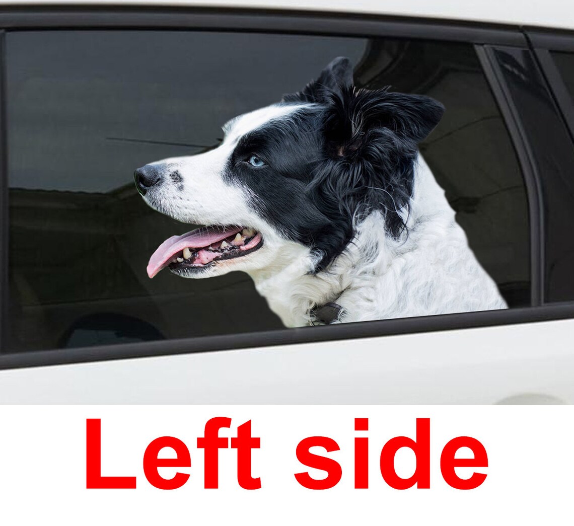 Border Collie Window Sticker , 3D Sticker, Border Collie Car Decal - Etsy
