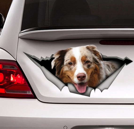 Australian Shepherd Mix Car Decal Aussie Magnet Custom Decal Australian Shepherd Etsy