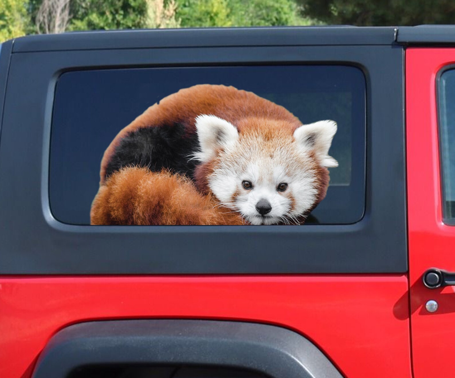 Cute Red Panda Window Decal 3D Sticker Red Panda Sticker - Etsy