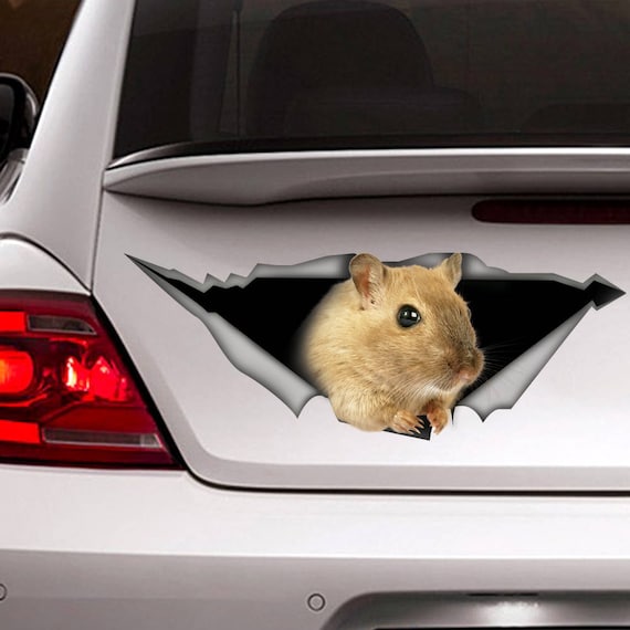 Mouse Decal Car Decal Vinyl Decal Car Decoration Animal | Etsy