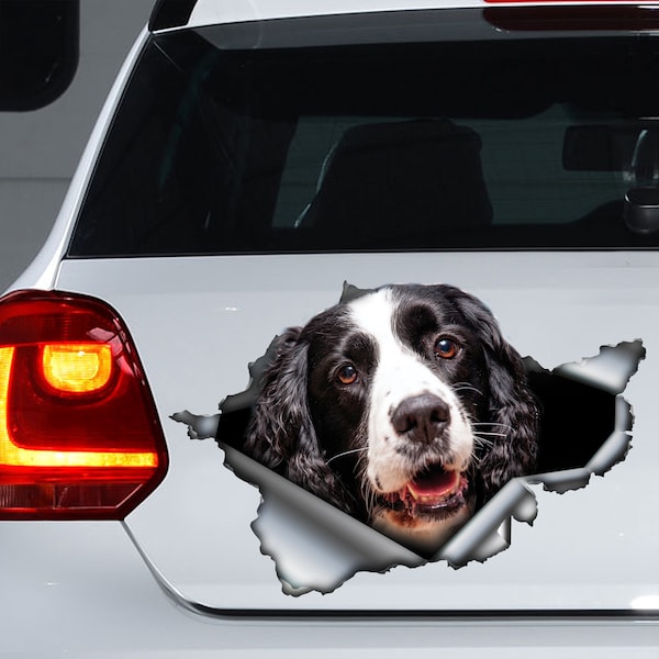 Spaniel Decal - Etsy
