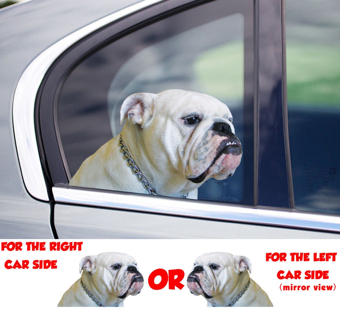 White Bulldog Window Sticker , 3D Sticker, Funny Sticker, White Bulldog ...