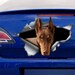 Red Dobbie Car Sticker, Red Doberman Decal, Doberman Magnet, Dog ...