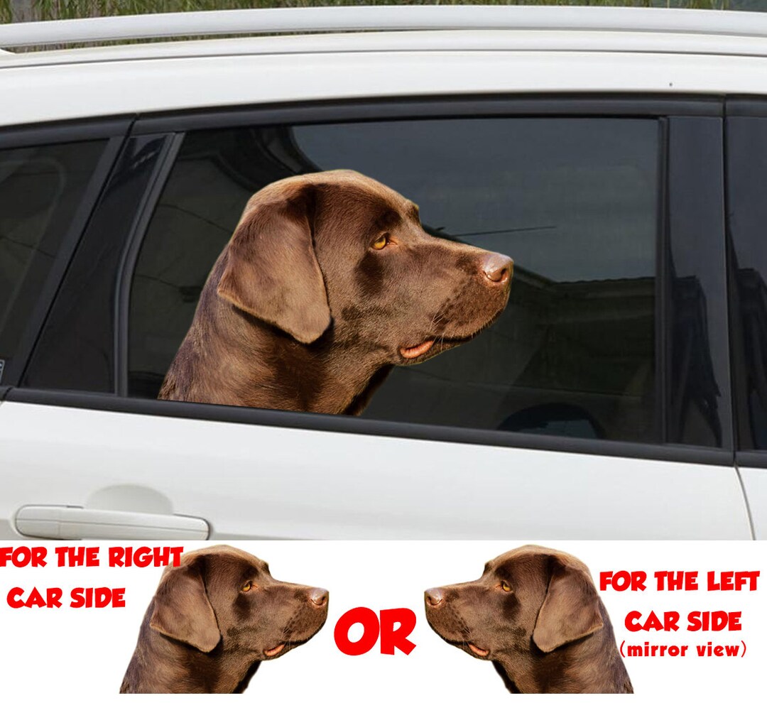 Chocolate Lab Window Sticker , 3D Sticker, Funny Sticker, Chocolate Lab ...