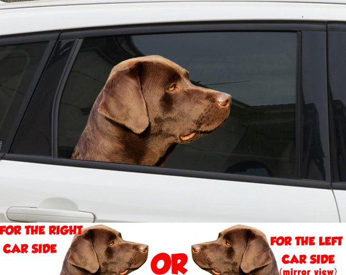 Chocolate Lab Window Sticker 3D Sticker Funny Sticker - Etsy