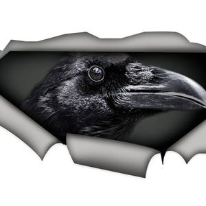 Crow Car Decal, Black Bird Decal, Bird Sticker, Crow Sticker - Etsy
