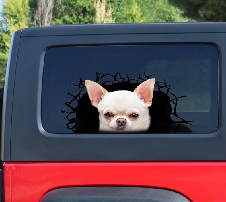 Funny chihuahua car decal cracked window decal chihuahua | Etsy