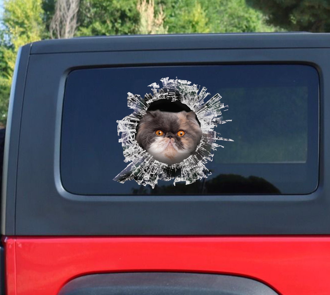 Funny Cat Window Sticker, Persian Cat Window Decal, Window Sticker - Etsy