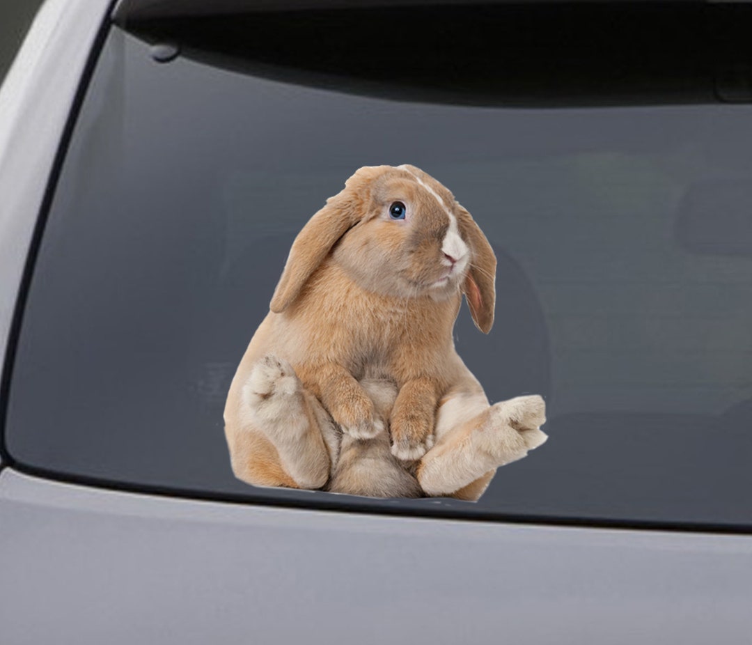 Rabbit Window Sticker, Car Sticker, Rabbit Car Decal - Etsy
