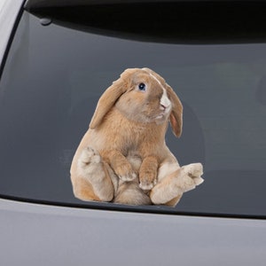 Rabbit Window Sticker, Car Sticker, Rabbit Car Decal - Etsy