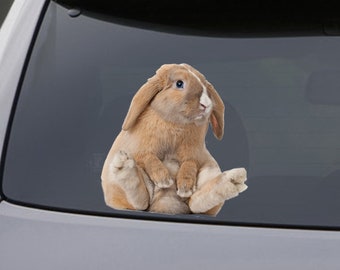 Crazy Lop Bunny Guy Sticker Full Text Rabbit Decal / Car - Etsy