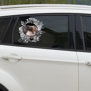 Funny Cat Window Sticker, Persian Cat Window Decal, Window Sticker - Etsy