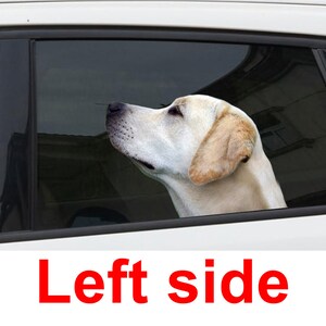 Yellow Lab Car Window Sticker , 3D Sticker, Funny Sticker, Yellow Lab ...