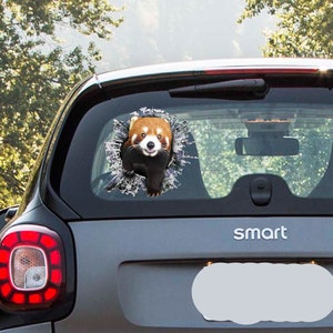Red Panda Window Sticker, Brocken Window Car Decal, Red Panda Decal - Etsy