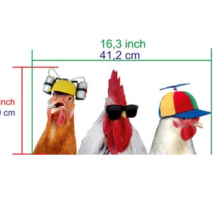STICKER, Chickens & Rooster Window Sticker, 16,3x7,8 Inch, Car Sticker ...