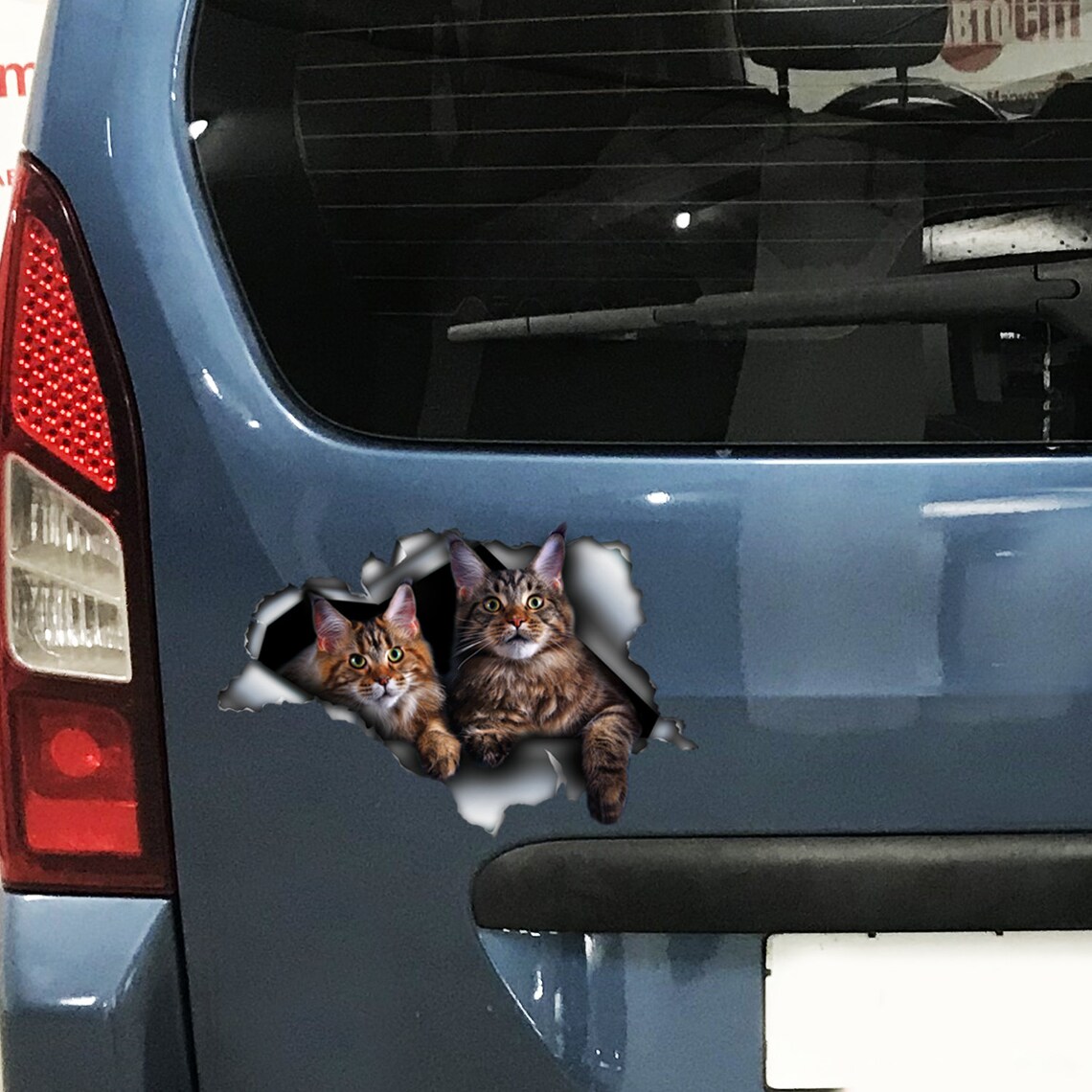 Cats Car Decal Maine Coon Decal Maine Coon Sticker Pet - Etsy