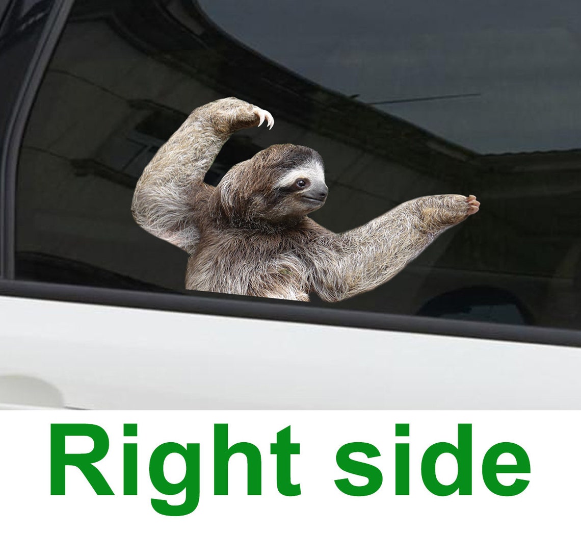Sloth Window Sticker Car Sticker Sloth Car Decal Funny - Etsy