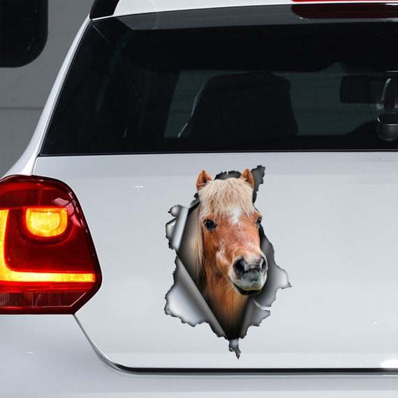 Pony Decal Pony Car Sticker Pony Magnet Horse Decal | Etsy