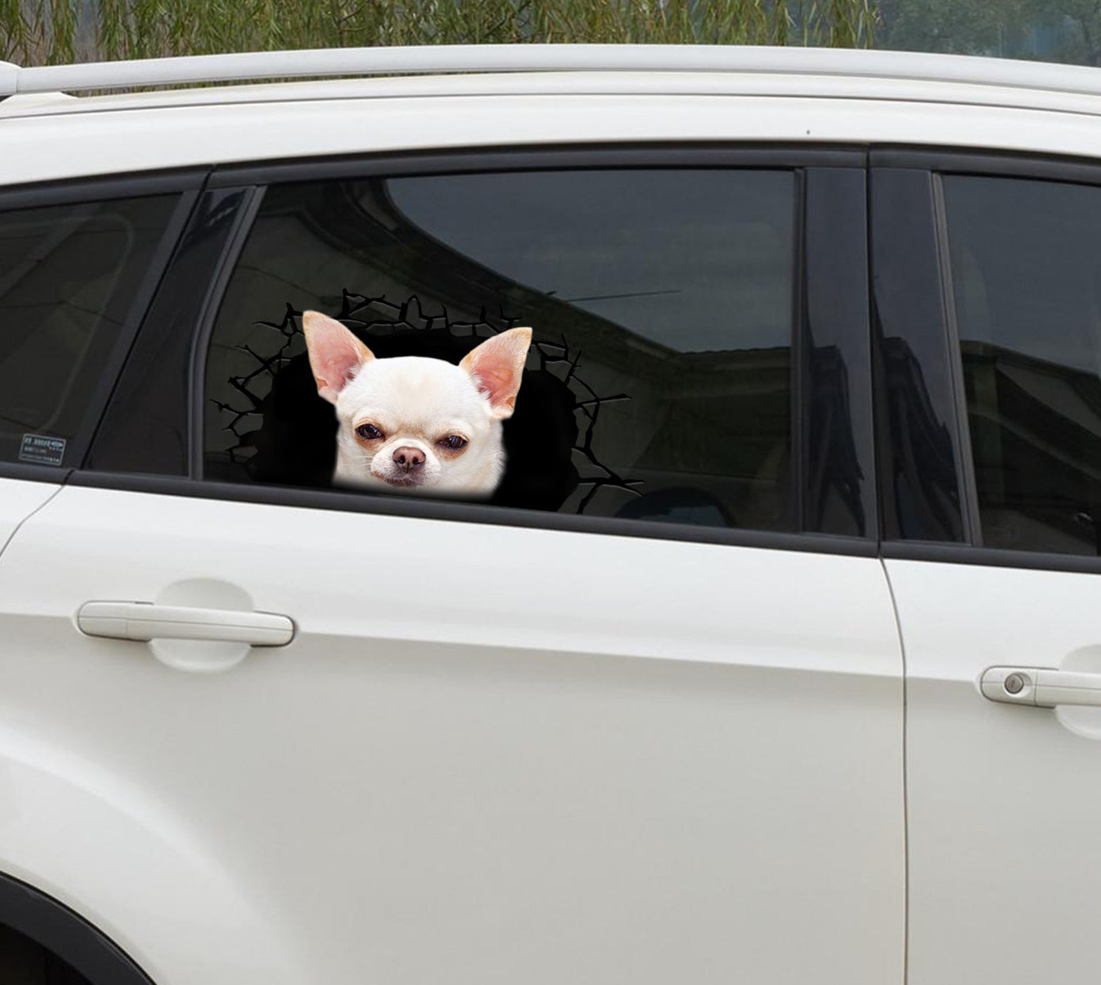 Funny chihuahua car decal cracked window decal chihuahua | Etsy