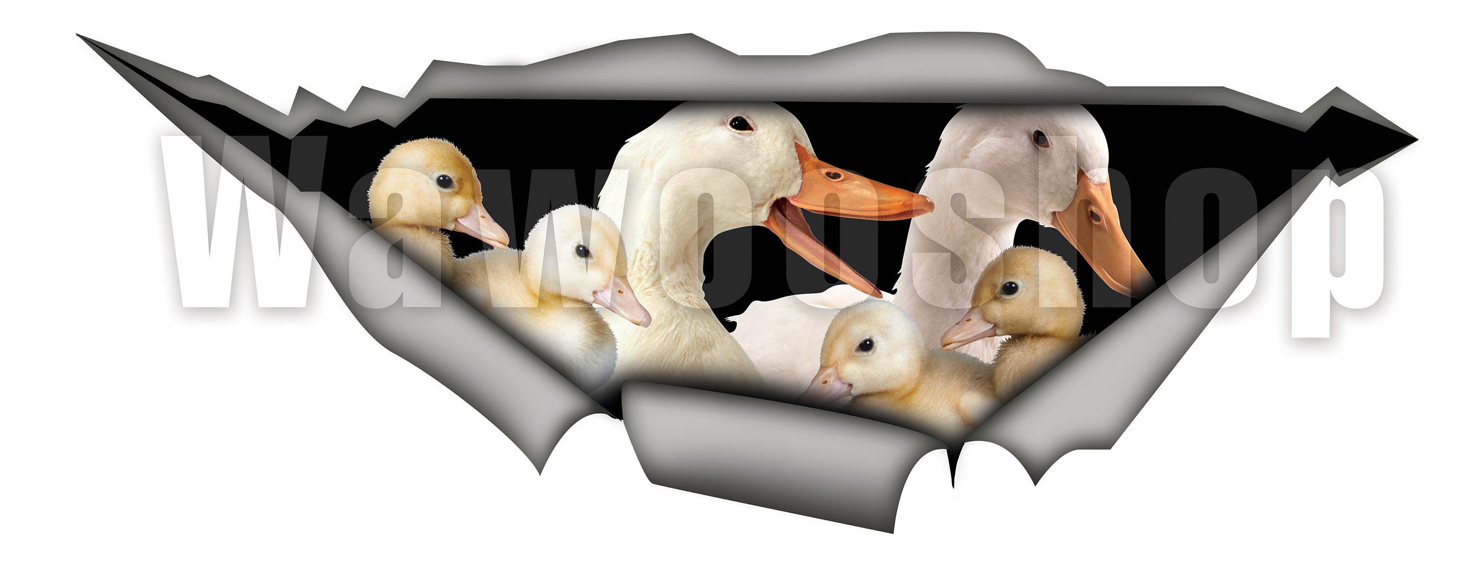 Ducks Car Decal Farm Decal Funny Duck Vinyl Decal Bird | Etsy