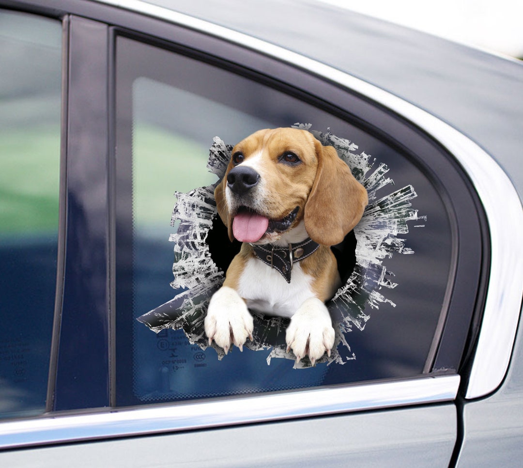 Beagle Window Sticker, Car Sticker, Beagle Car Decal - Etsy
