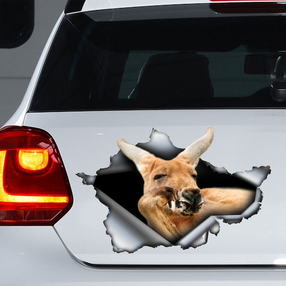 Funny Kangaroo Decal Kangaroo Car Decal Kangaroo Magnet - Etsy