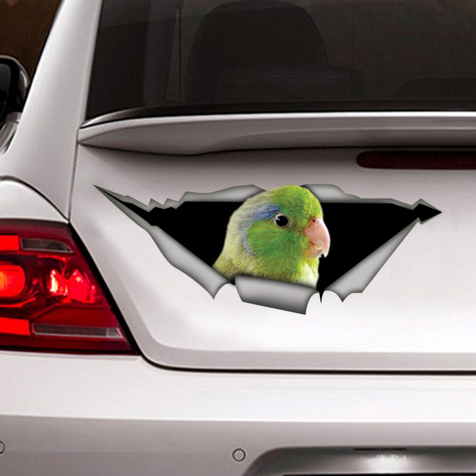 Parrotlet Car Sticker, Parrotlet Decal, Bird Sticker - Etsy