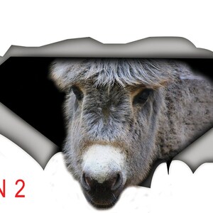 Mini Donkey Car Decal, Donkey Sticker, Vinyl Decal - Etsy