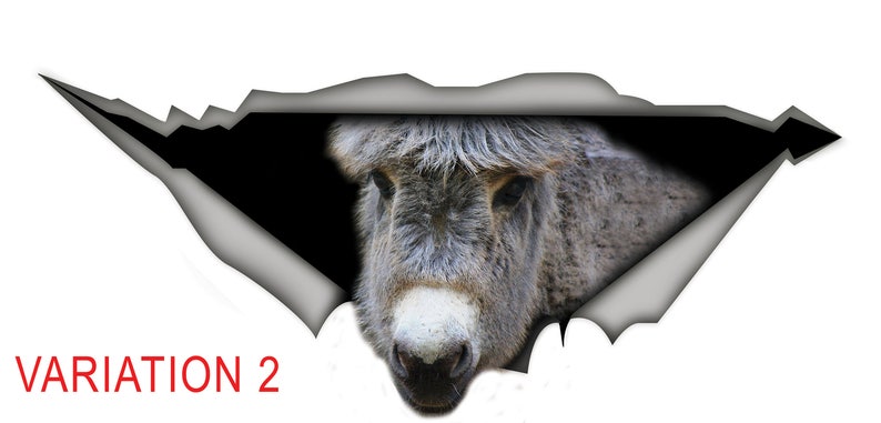 Mini Donkey Car Decal Donkey Sticker Vinyl Decal - Etsy