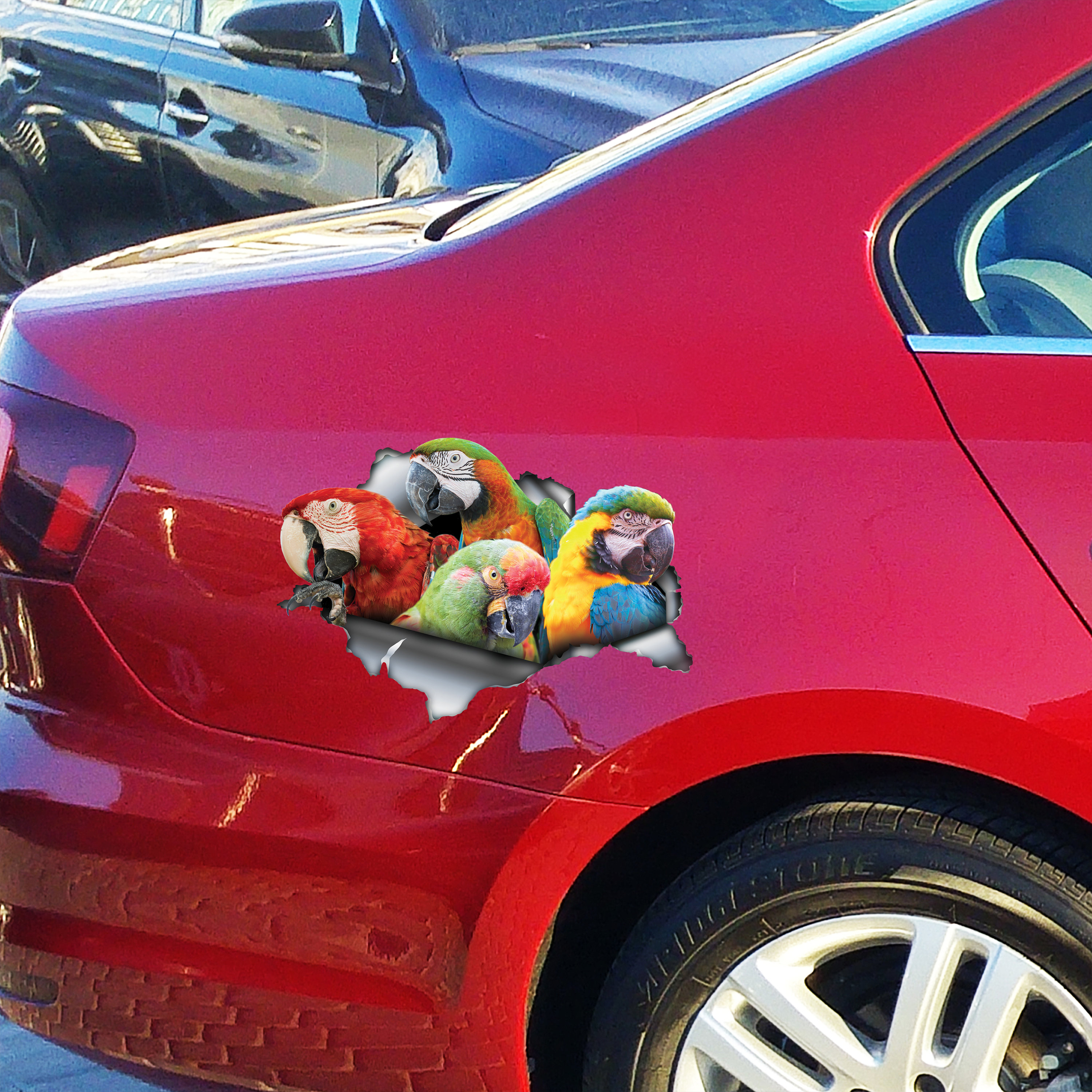 Macaw Car Decal, Macaw Magnet, Macaw Sticker, Parrot Car Decal - Etsy