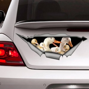 Ducks Car Decal , Farm Decal, Funny Duck , Vinyl Decal, Bird Sticker ...