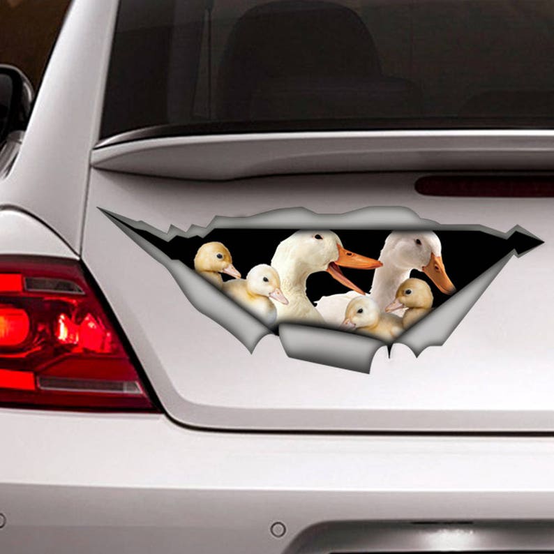 Ducks Car Decal Farm Decal Funny Duck Vinyl Decal Bird - Etsy