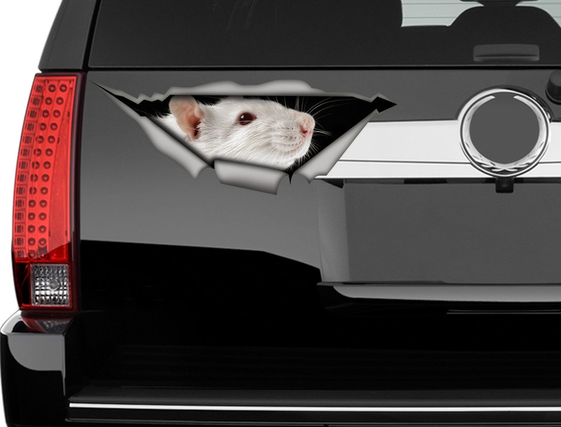 White Gerbil Decal, Funny Sticker, Gerbil Car Sticker, Gerbil Sticker ...