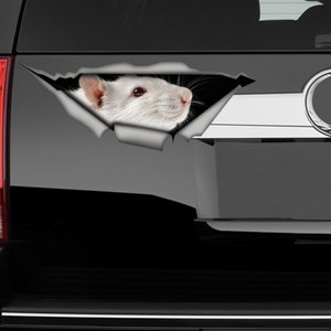 White Gerbil Decal, Funny Sticker, Gerbil Car Sticker, Gerbil Sticker ...