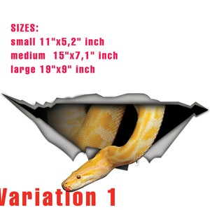 Albino Burmese Python Car Decal, Vinyl Decal, Car Decoration, Snake ...