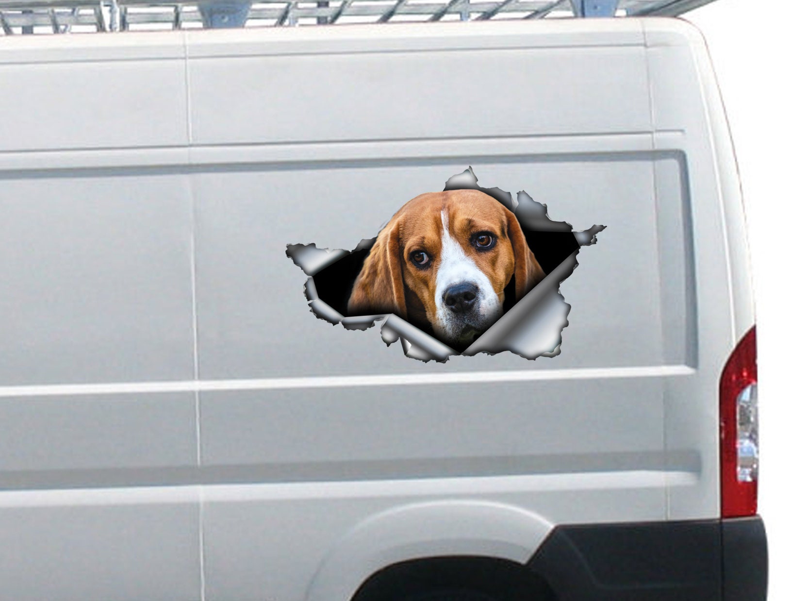 Beagle Car Decal, Beagle Magnet, Beagle Sticker, Car Decoration - Etsy