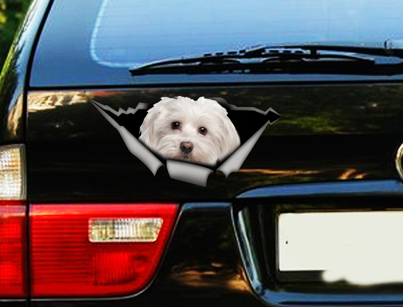 Maltese Car Decal Maltese Magnet Vinyl Decal Maltese - Etsy