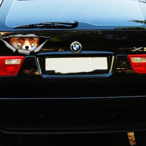 Fox Car Decal , Animals Decal, 3D Sticker, Funny Decal , Car Stickers ...