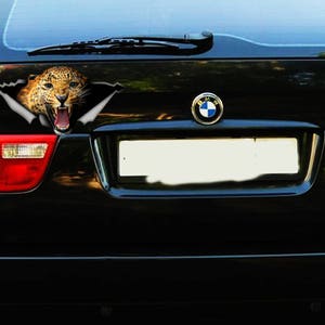 Leopard Car Decal, Vinyl Decal, Animal Sticker, Leopard Decal, Cat ...