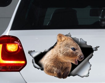 Quokka Stickers - Etsy