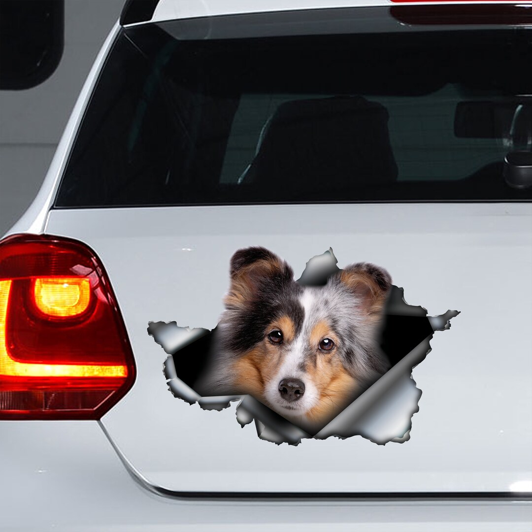 Australian Shepherd Decal, Aussie Car Sticker, Aussie Magnet, Aussie ...