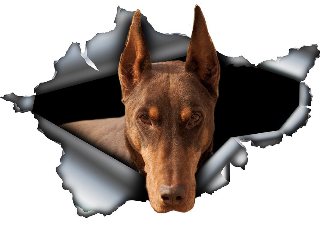 Red Dobbie car sticker red doberman decal dog sticker car | Etsy