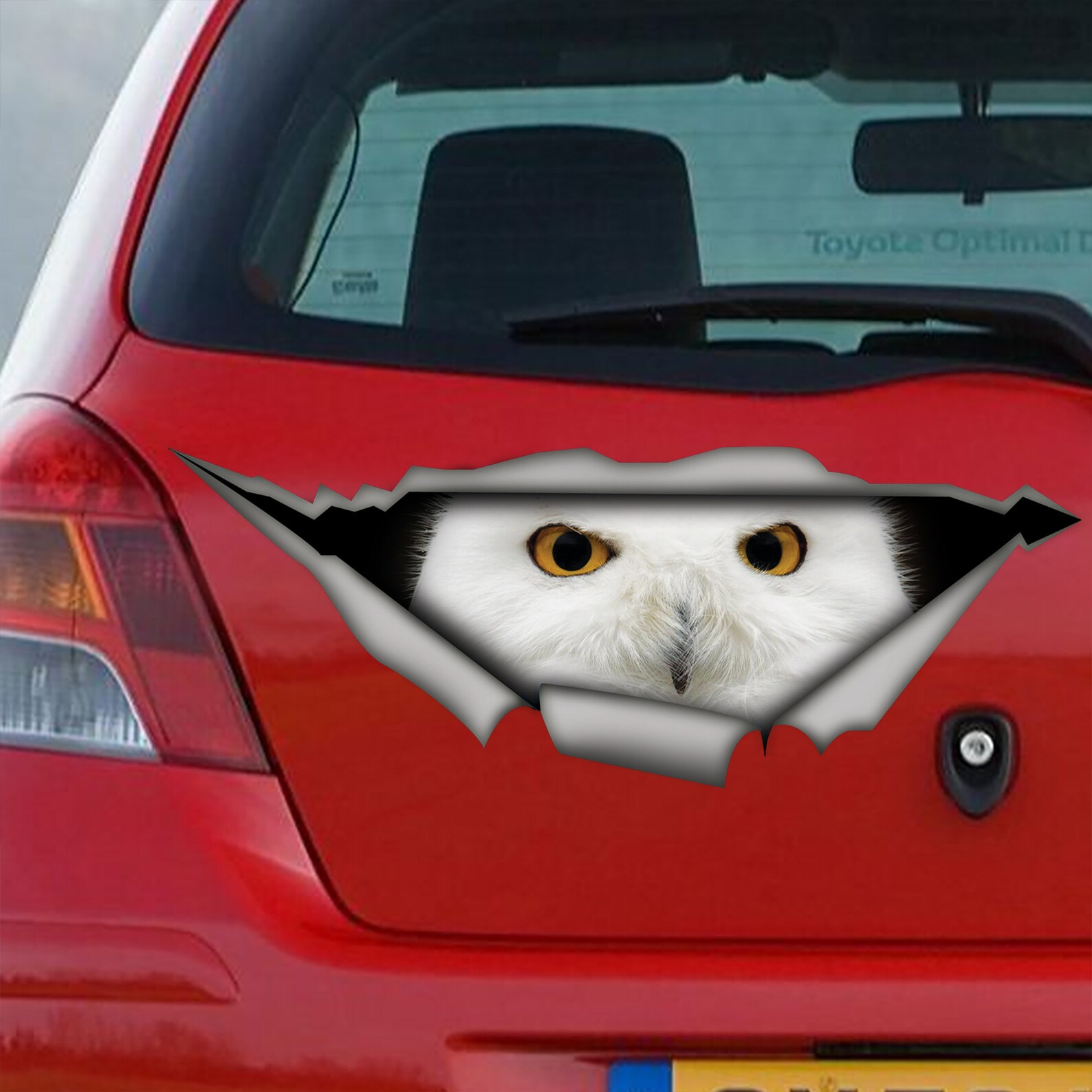 White Owl Sticker Owl Car Decal Car Decoration Owl Decal - Etsy